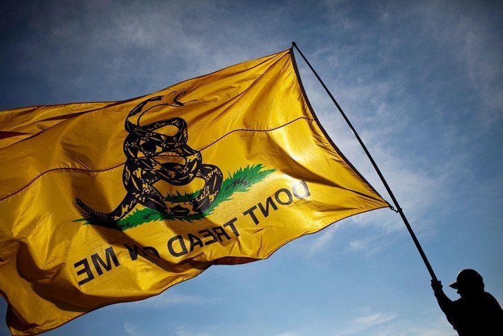 La storia del Libertarismo - Movimento Libertario